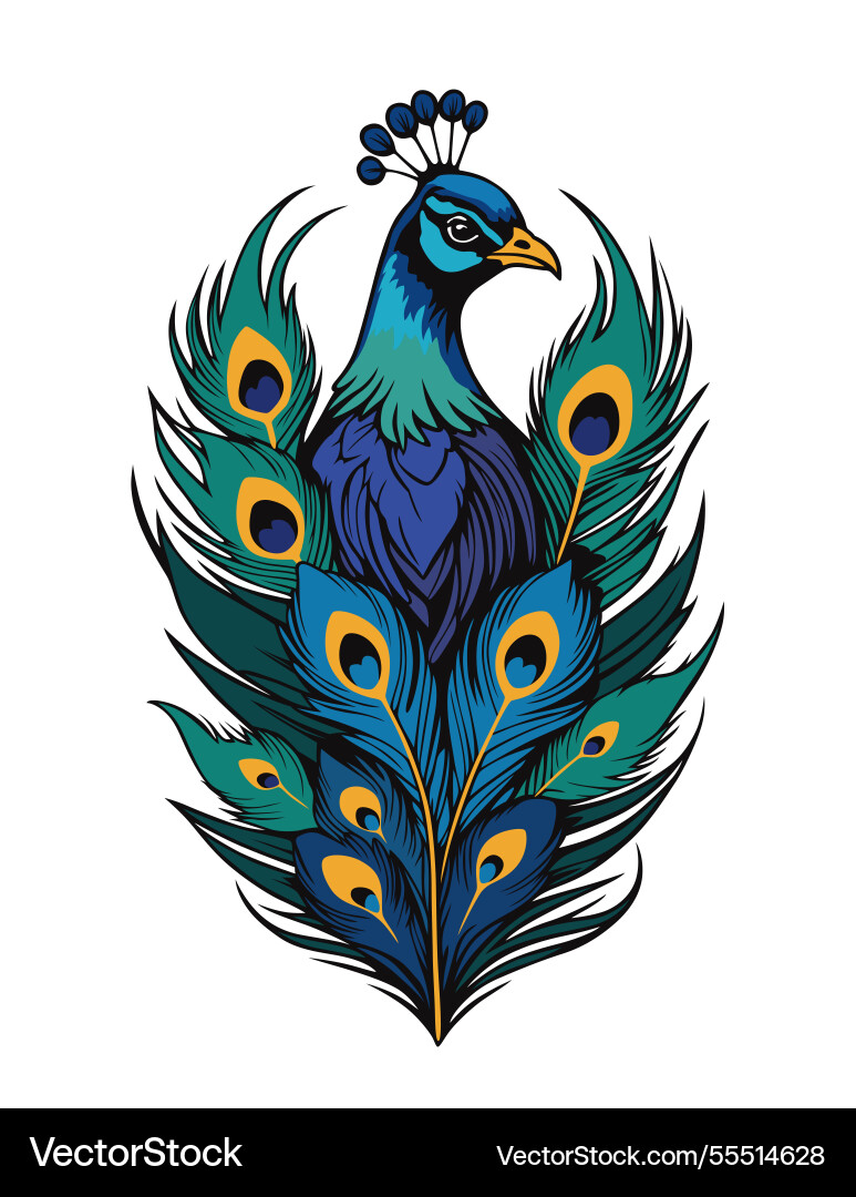 Peacock Royalty Free Vector Image - VectorStock