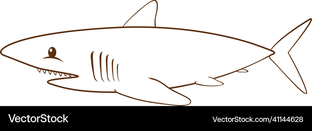 Shark in doodle simple style on white background Vector Image