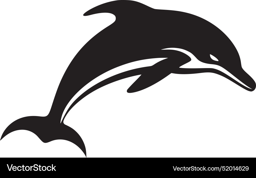 Dolphin - high quality logo ideal for t-shirt Vector Image