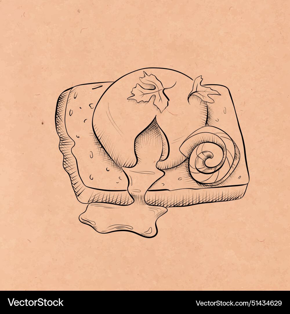 Drawing lines line art dishes poached egg Vector Image