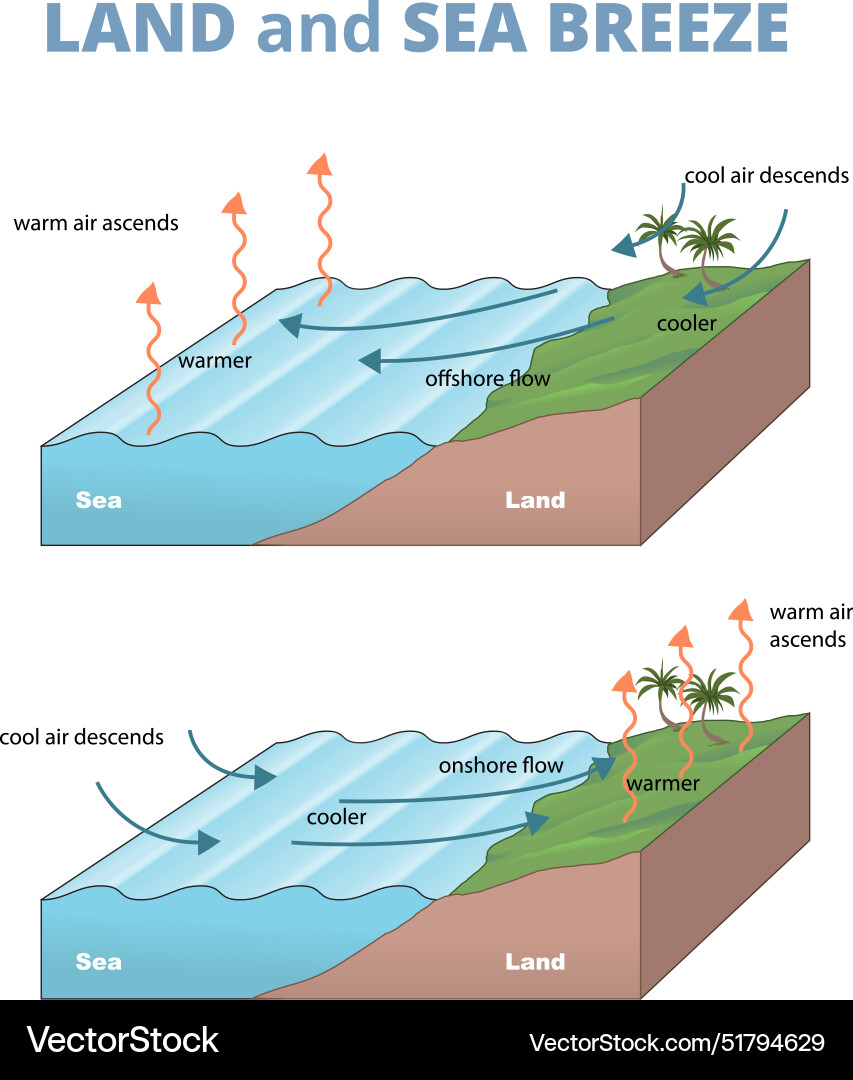Land and sea breeze diagram Royalty Free Vector Image