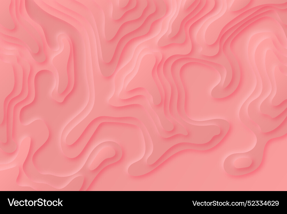 Topographic map background Royalty Free Vector Image