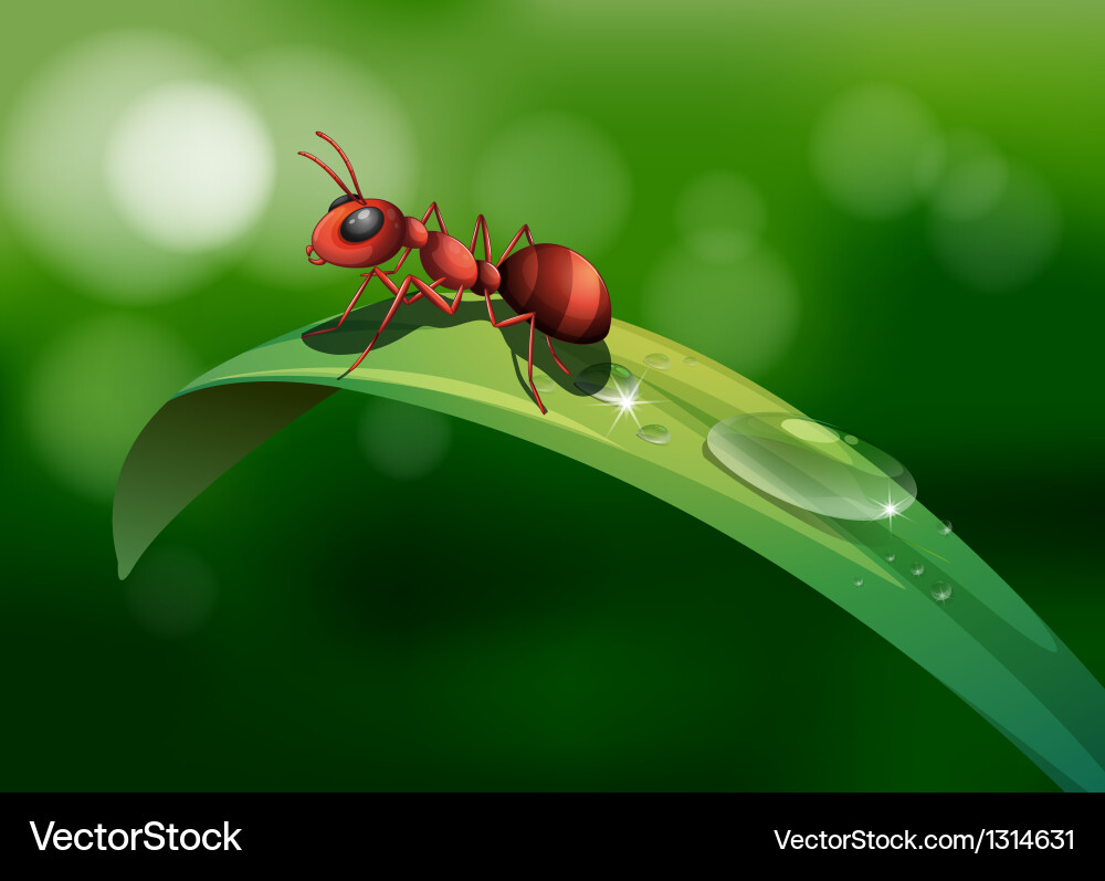 An ant above the leaf Royalty Free Vector Image