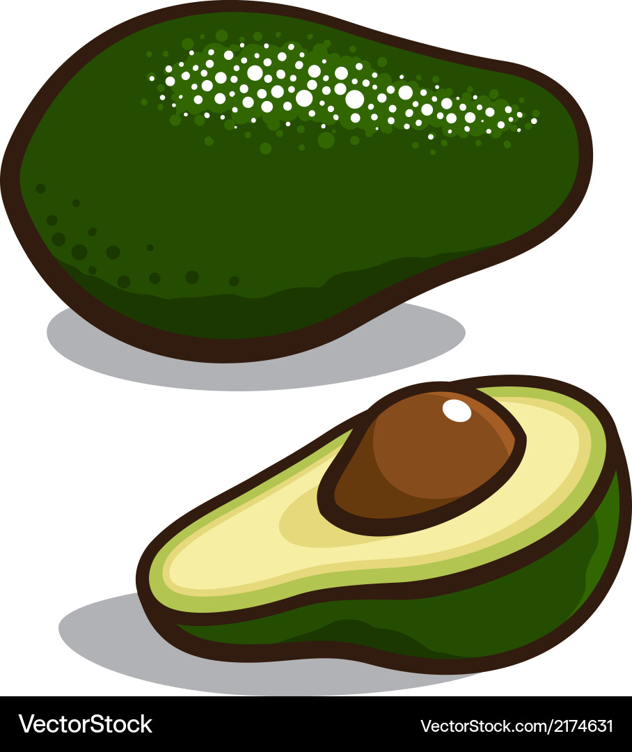 Avocado Royalty Free Vector Image - VectorStock
