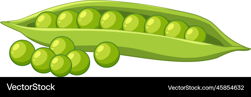 Green peas in a pod Royalty Free Vector Image - VectorStock
