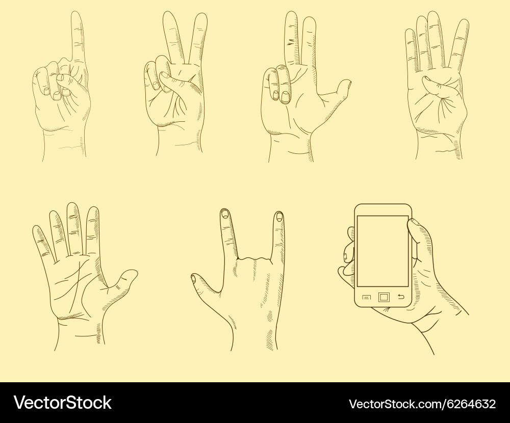 Hands sketch Royalty Free Vector Image - VectorStock