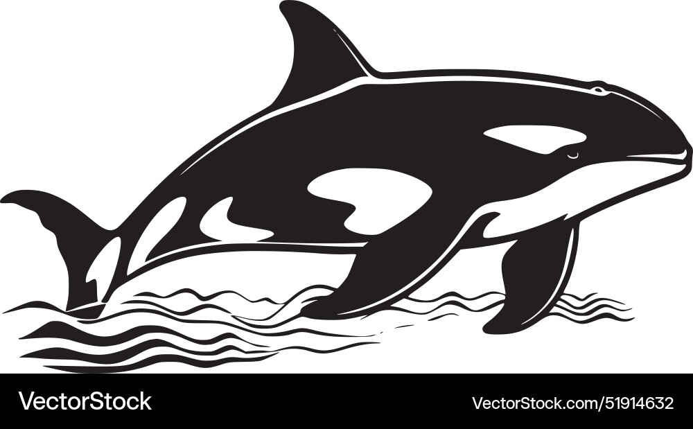 Orca - black and white Royalty Free Vector Image