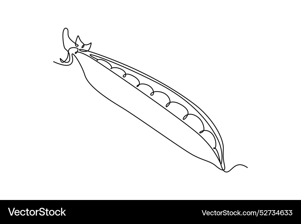 Continuous one line drawing whole healthy Vector Image