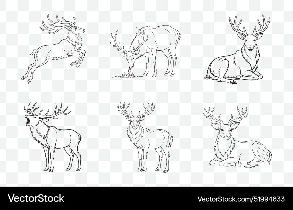 Print elk line art set for graphic design Vector Image