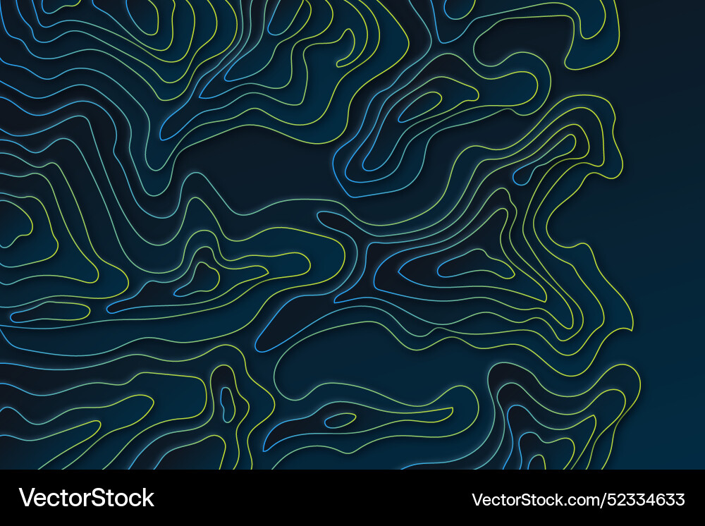 Topographic map background Royalty Free Vector Image