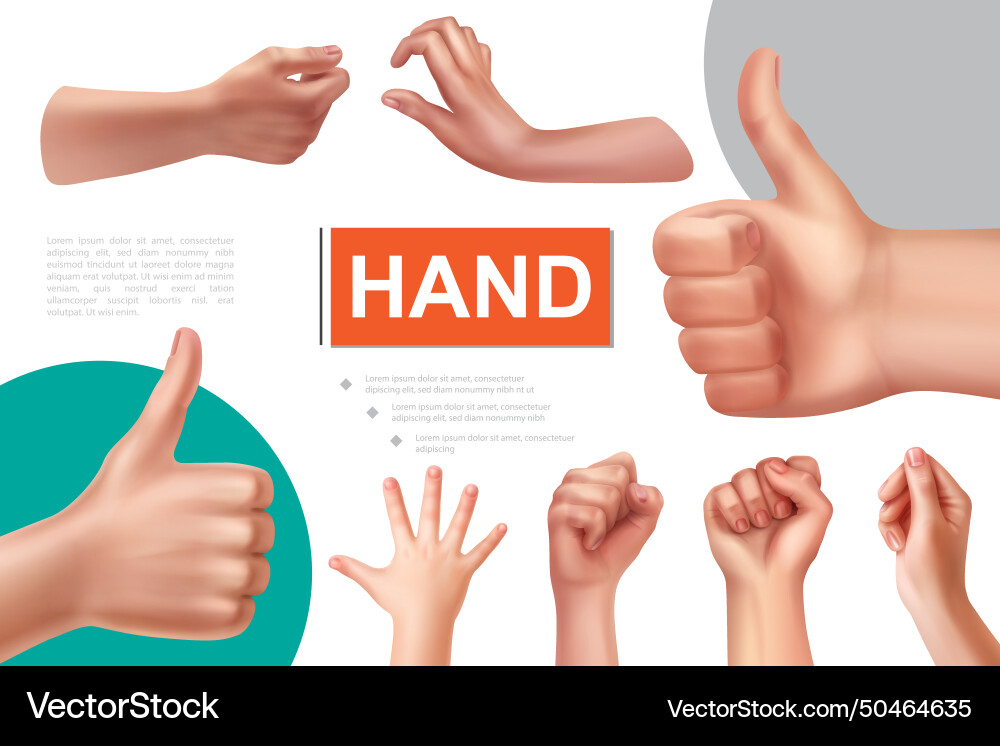 Realistic hand gestures composition Royalty Free Vector