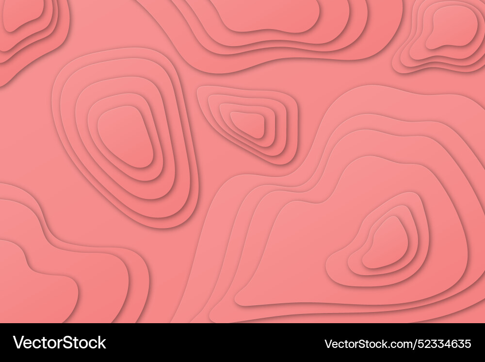 Topographic map background Royalty Free Vector Image