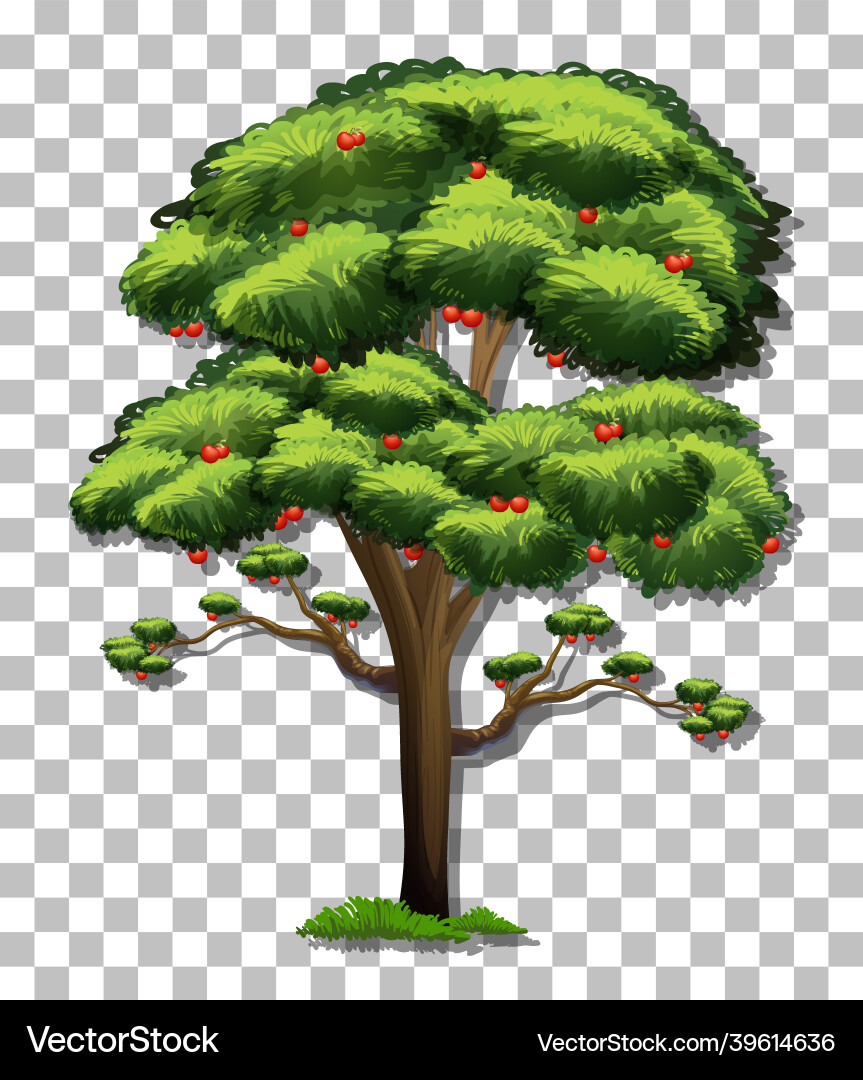 Apple tree on transparent background Royalty Free Vector