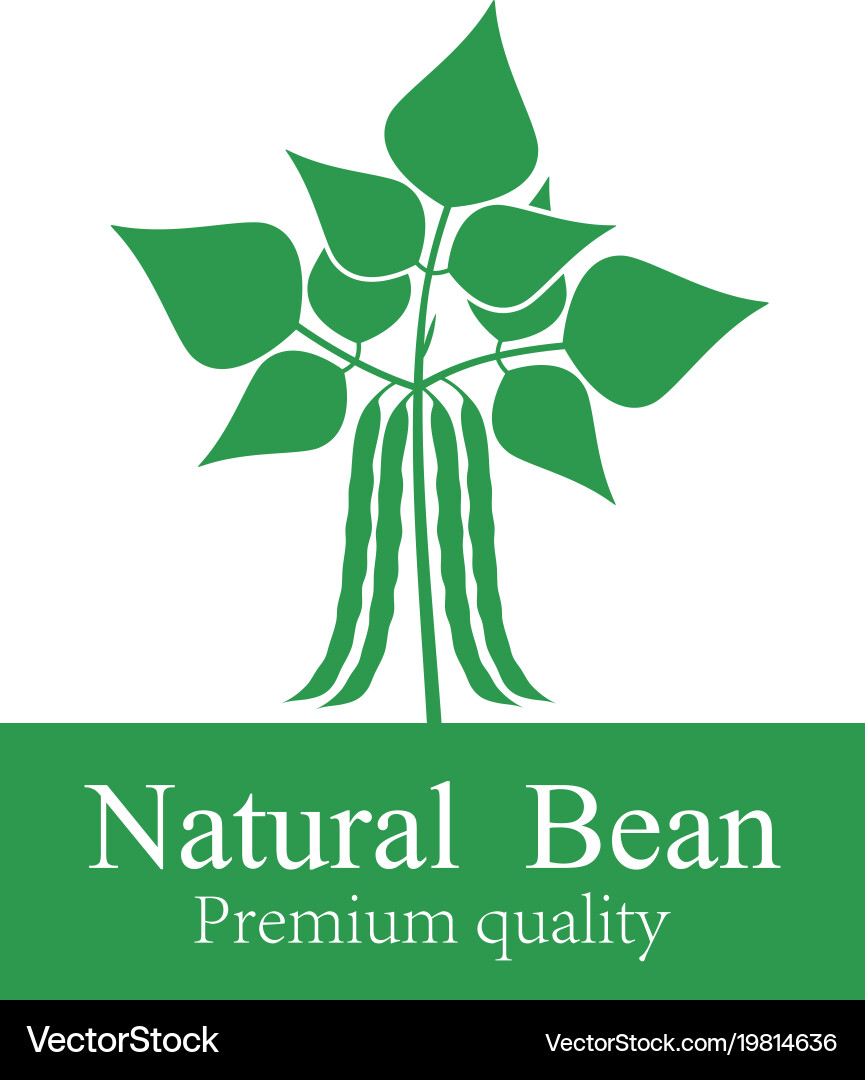 Bean Royalty Free Vector Image - VectorStock