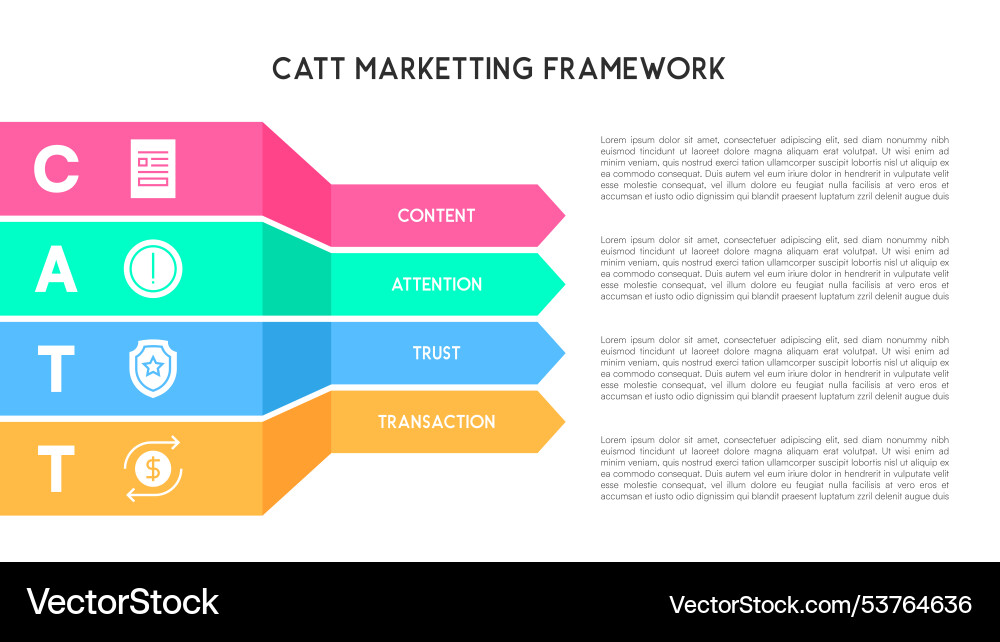 Catt marketing framework diagram with horizontal Vector Image