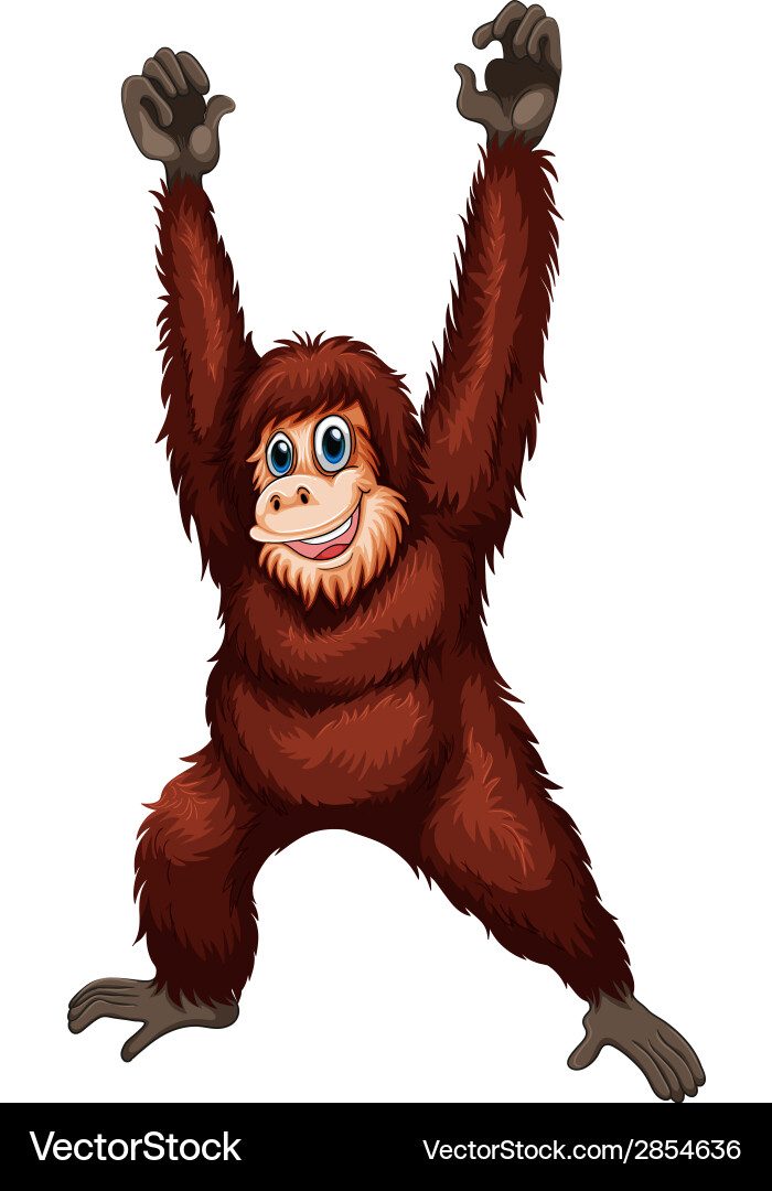 Orangutan Royalty Free Vector Image - VectorStock