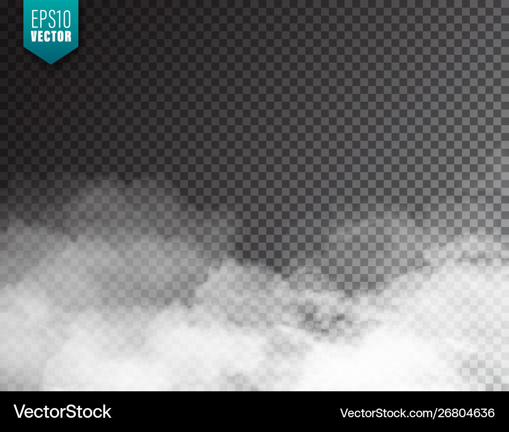 Realistic fog mist effect smoke isolated Vector Image
