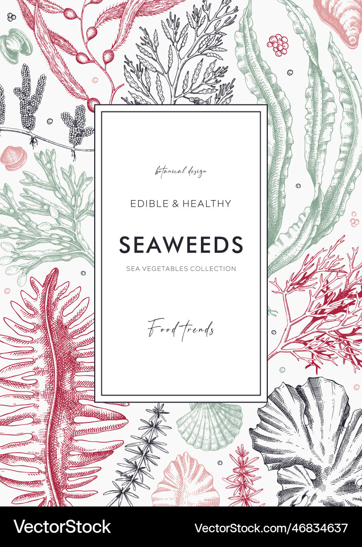 Hand-drawn seaweeds frame design edible algae Vector Image