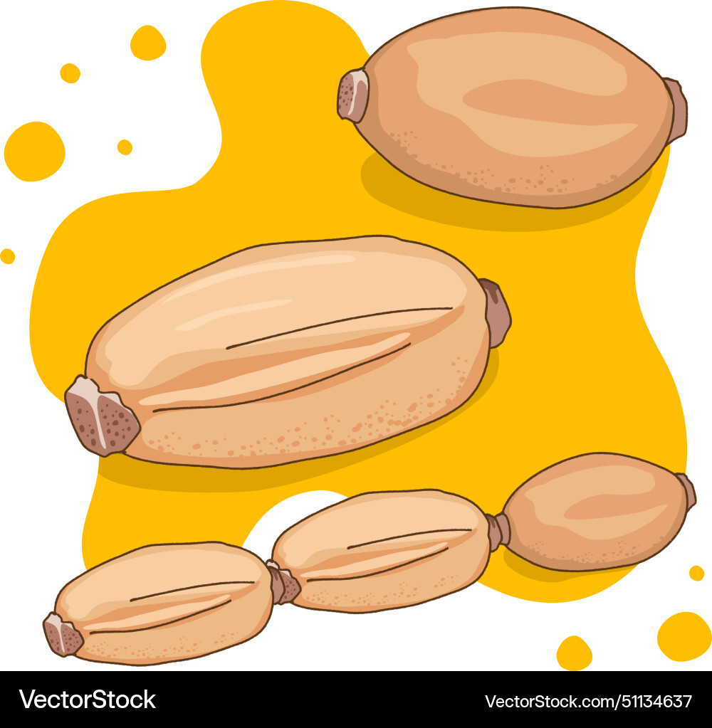 Isolated lotus roots whole part Royalty Free Vector Image