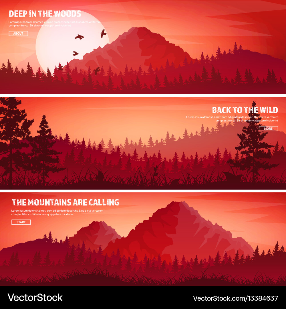 Mountains and forest wild nature landscape Vector Image