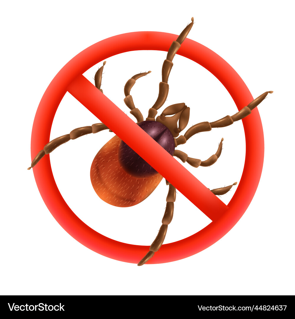 Realistic spider mite stop concept Royalty Free Vector Image