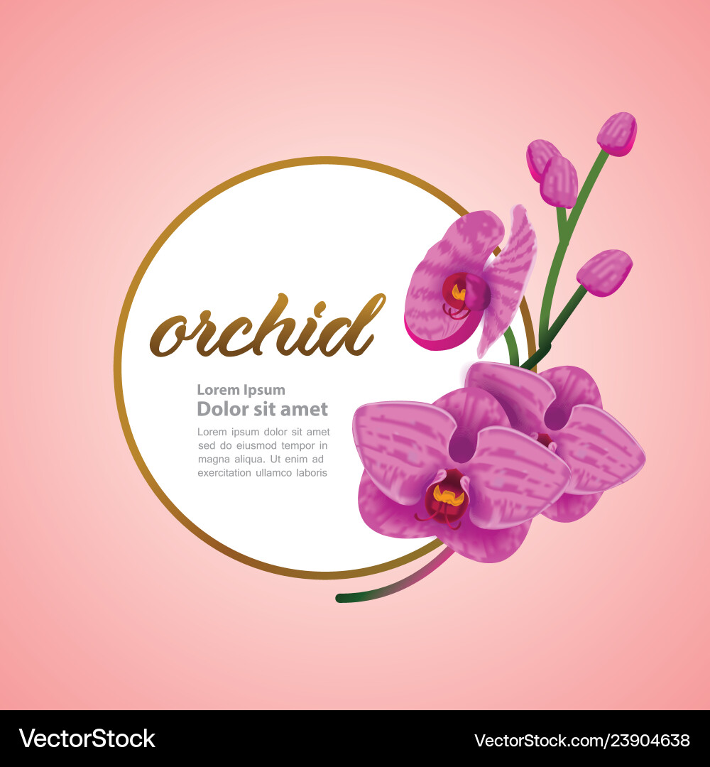 Orchid design Royalty Free Vector Image - VectorStock
