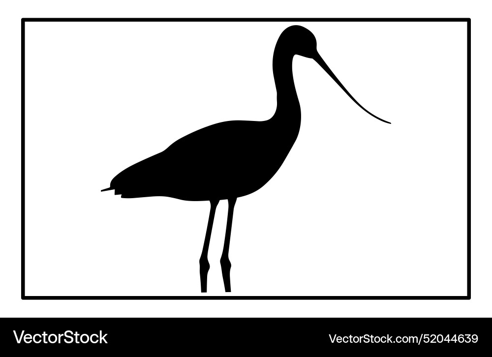 Avocet bird silhouette Royalty Free Vector Image