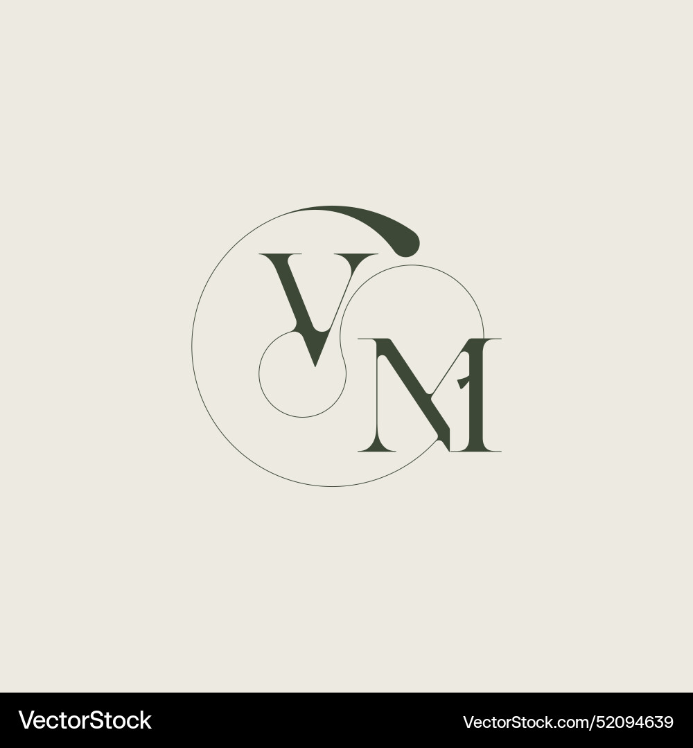 Elegant line concept vm beautiful monogram Vector Image
