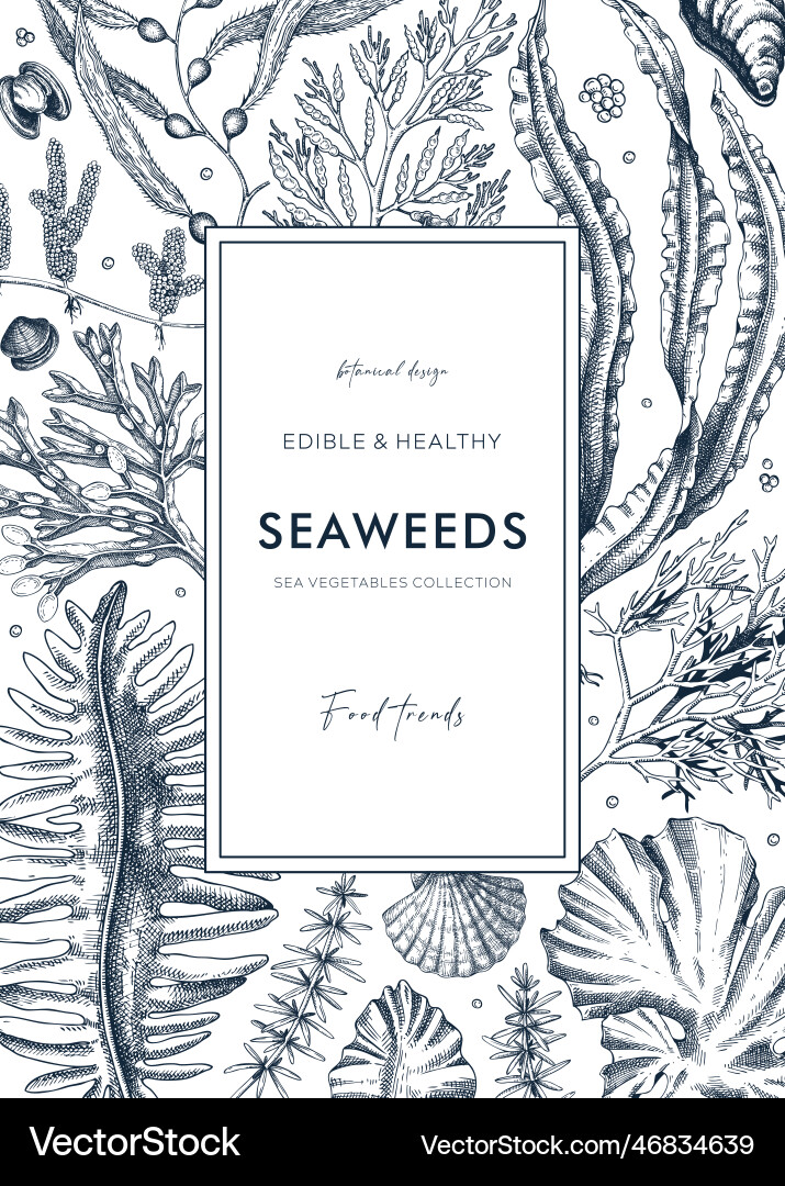 Hand-drawn edible seaweeds frame design sea algae Vector Image
