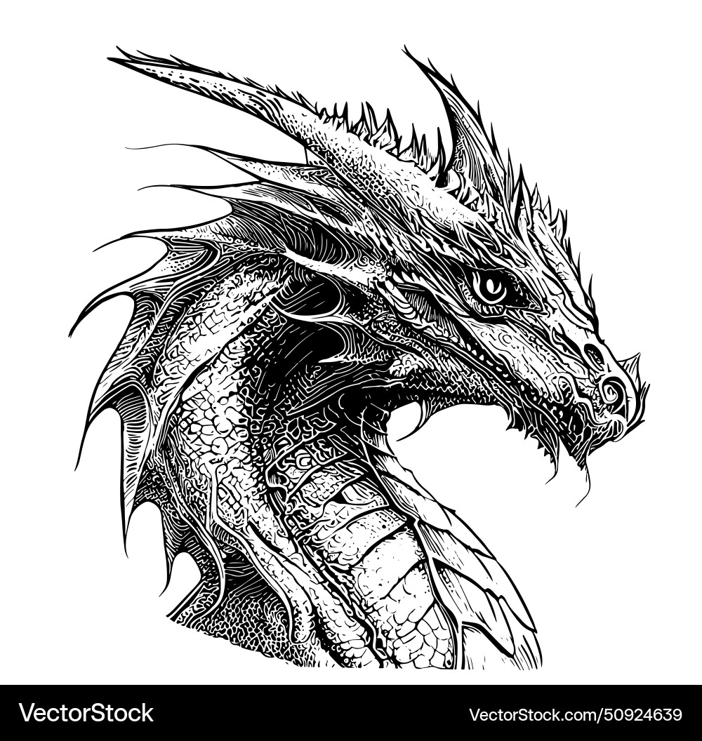 Hand drawn engraving pen and ink dragon head Vector Image