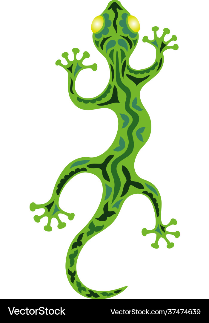 Lizard on white background Royalty Free Vector Image