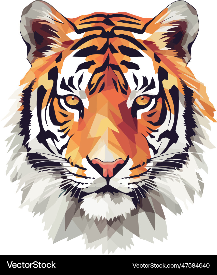 Bengal tiger face Royalty Free Vector Image - VectorStock