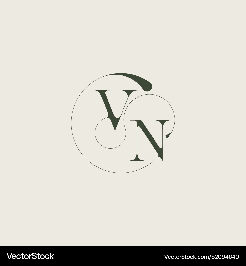Elegant line concept vn beautiful monogram Vector Image