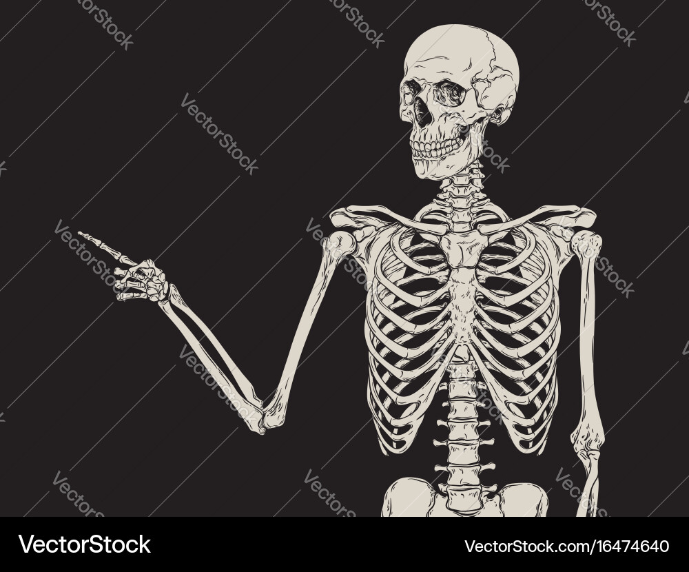 Human skeleton finger pointing isolated over black