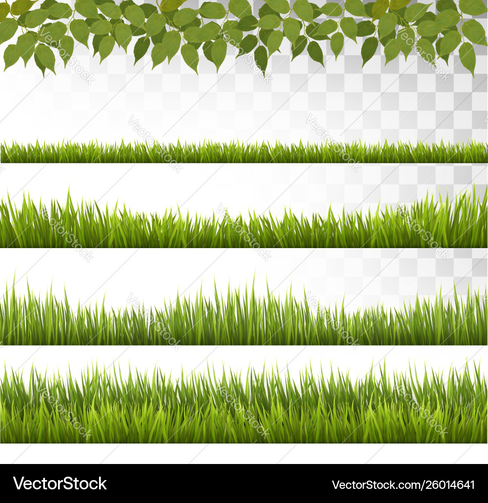 Grass border big collection Royalty Free Vector Image