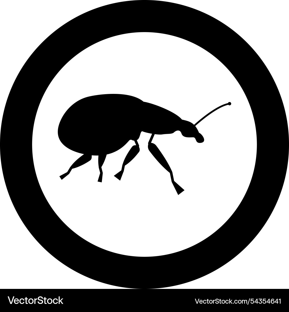 Weevil insect pest icon in circle round black Vector Image