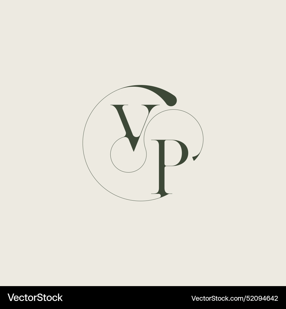 Elegant line concept vp beautiful monogram Vector Image
