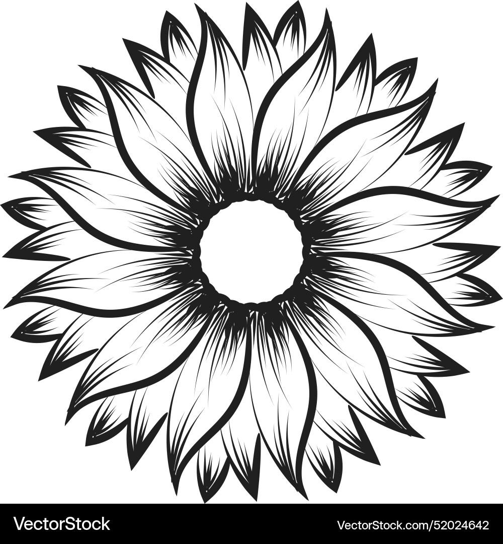 Flower line art for coloring pages Royalty Free Vector Image