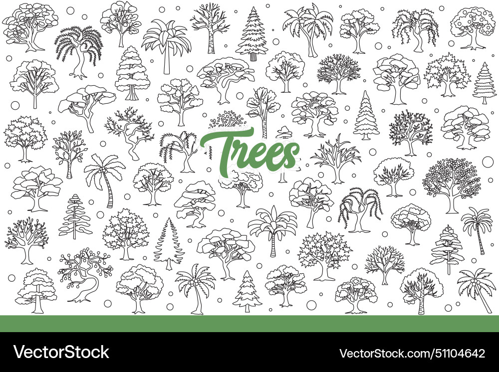 Forest trees growing in different regions Vector Image