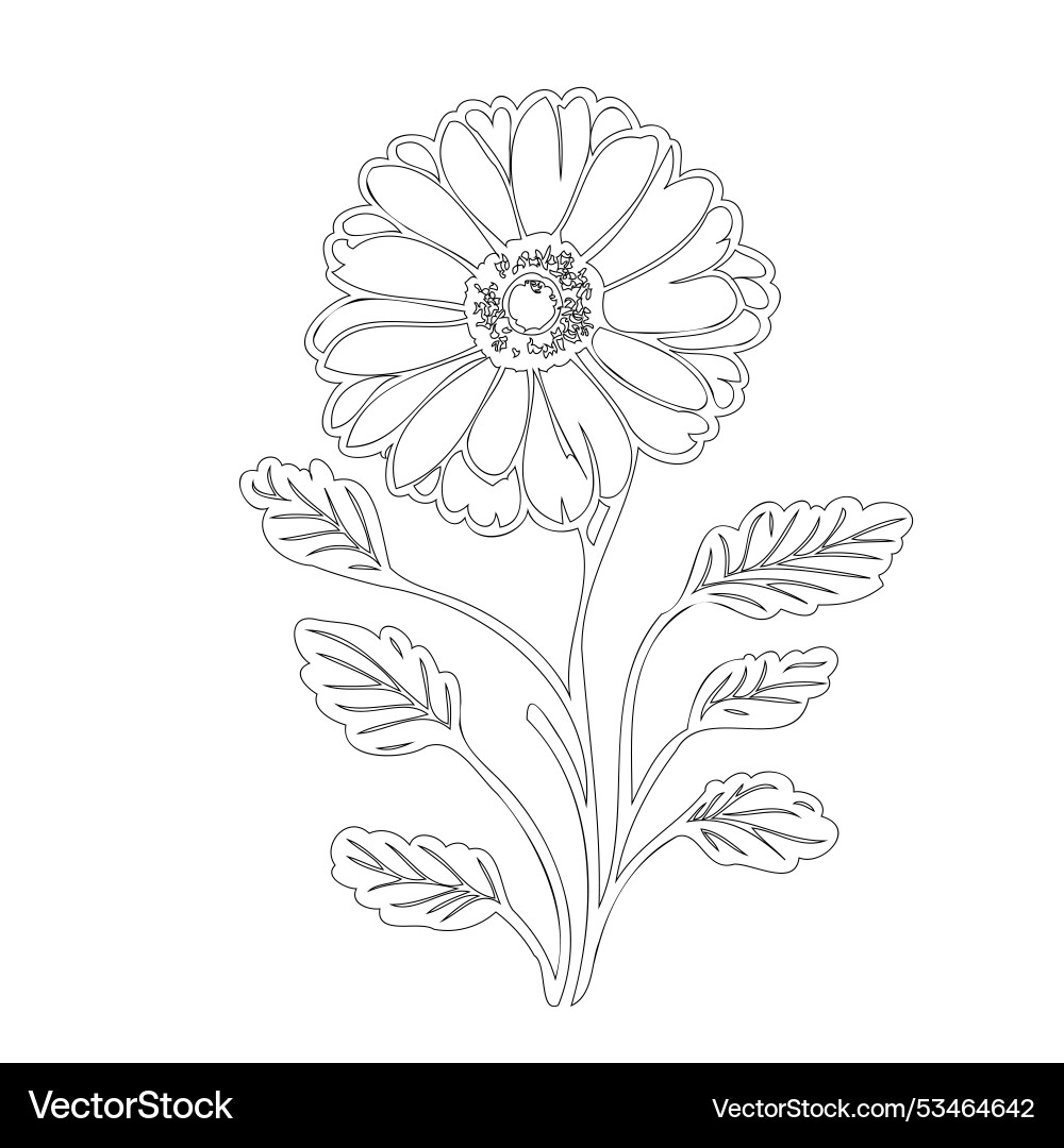 Sunflower outline sketch Royalty Free Vector Image