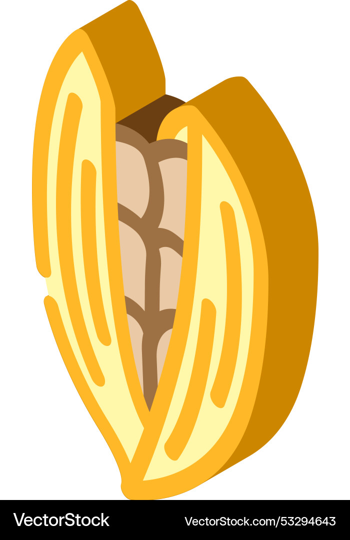 Cardamom pods ayurvedic herb isometric icon Vector Image