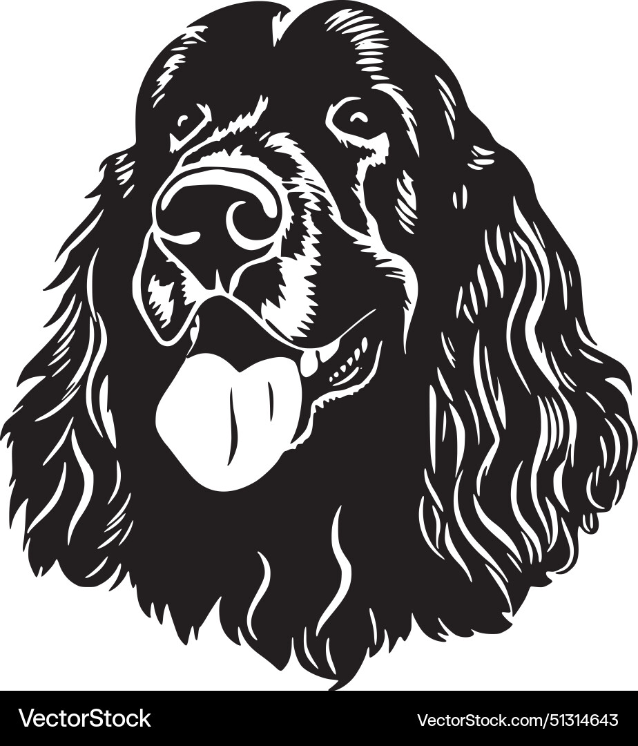 Cocker spaniel - high quality logo ideal Vector Image