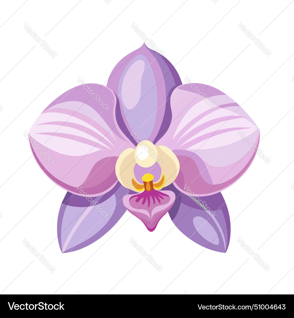 Flower exotic pastel violet orchid Royalty Free Vector Image