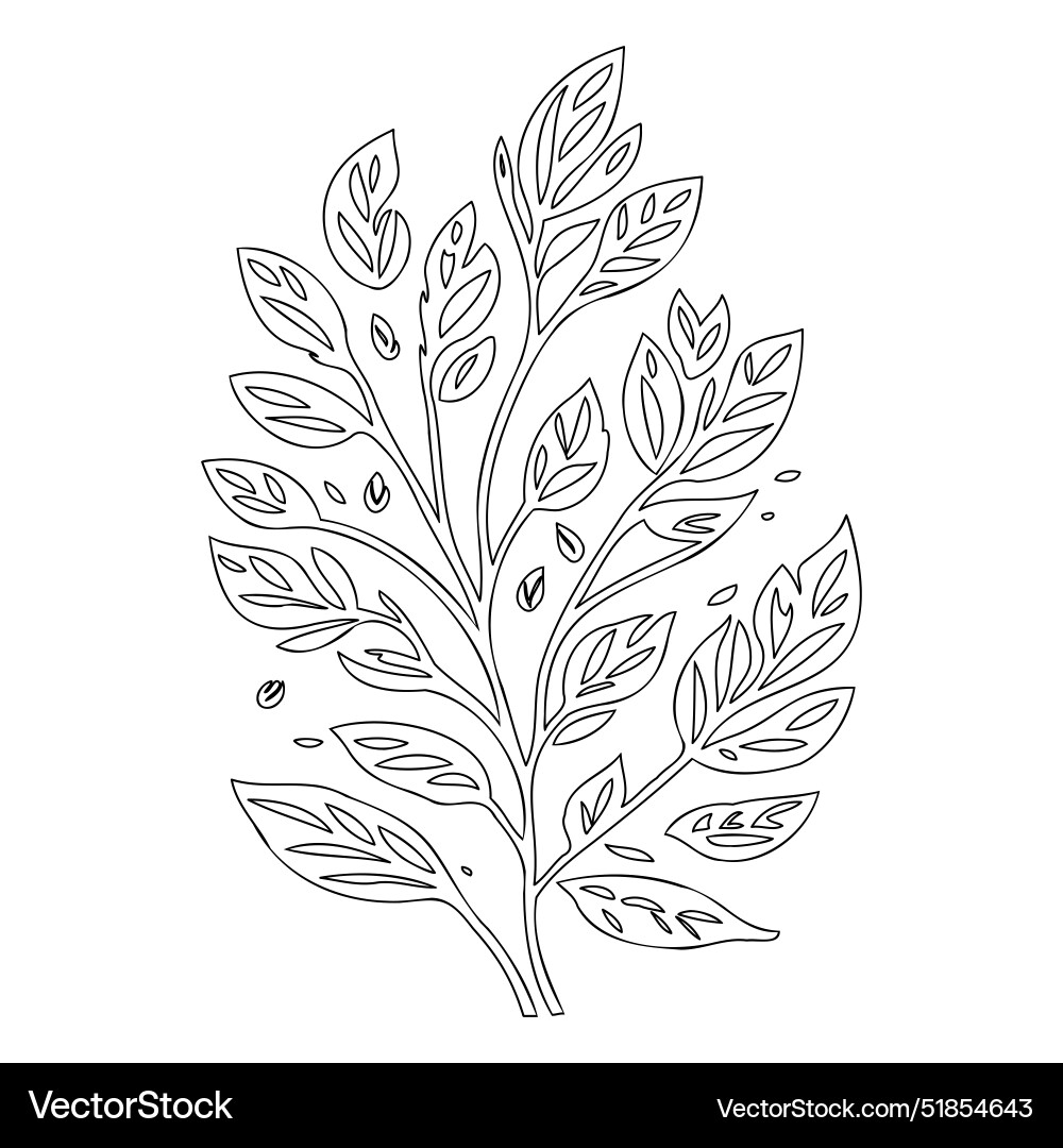 Rowan leaf floral outline sketch Royalty Free Vector Image