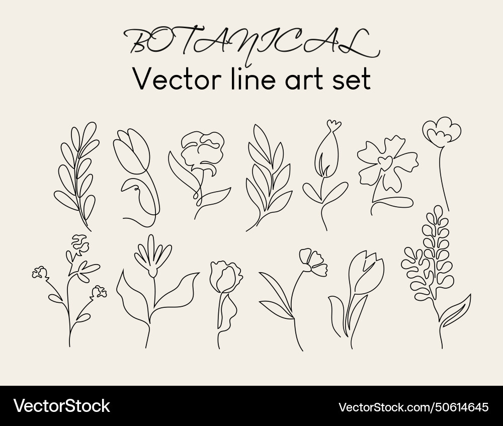 Botanical handdrawn line art set Royalty Free Vector Image