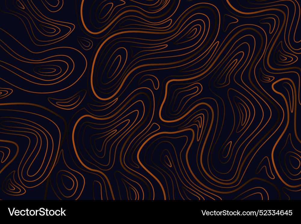 Minimalist dark topographic map background Vector Image