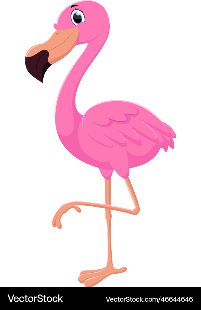 Cartoon Flamingo on White Background Royalty Free Vector