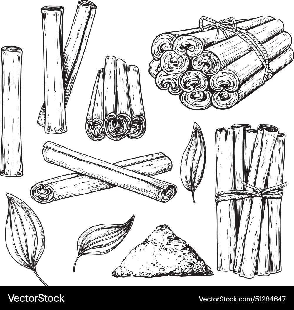 Cinnamon set vintage food drawing Royalty Free Vector Image