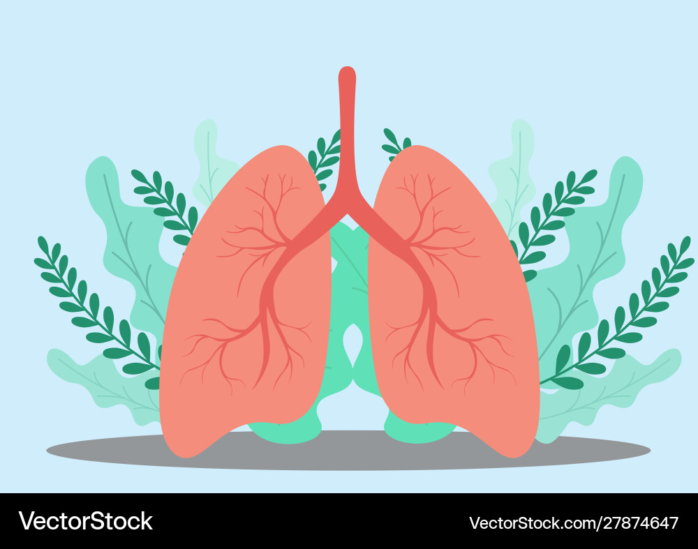 Lungs concept Royalty Free Vector Image - VectorStock