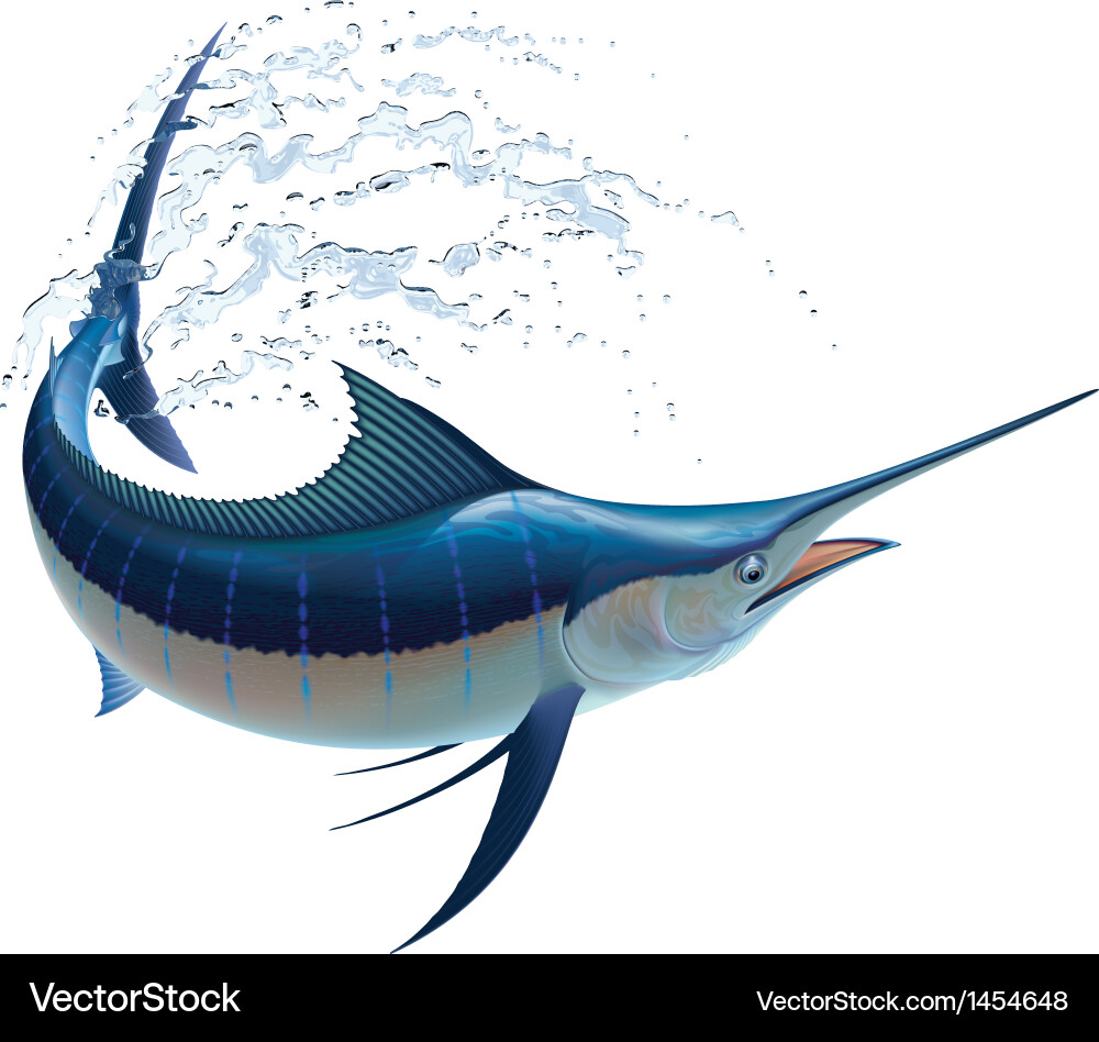 Marlin Black and White Vector Images (over 1,800)